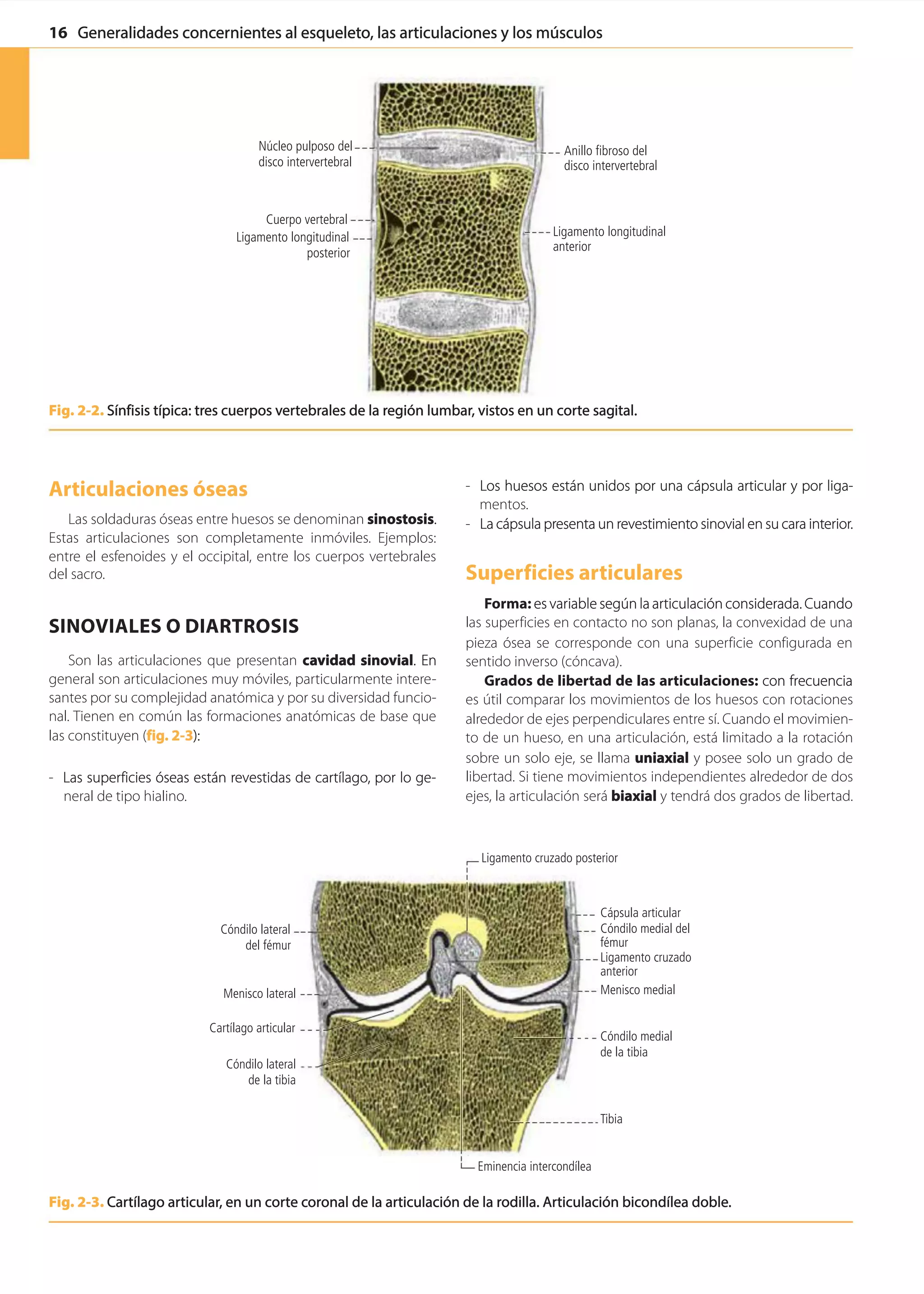 Latarjet - Ruiz Liard Anatomia Humana 5a Edicion T1 (1).pdf