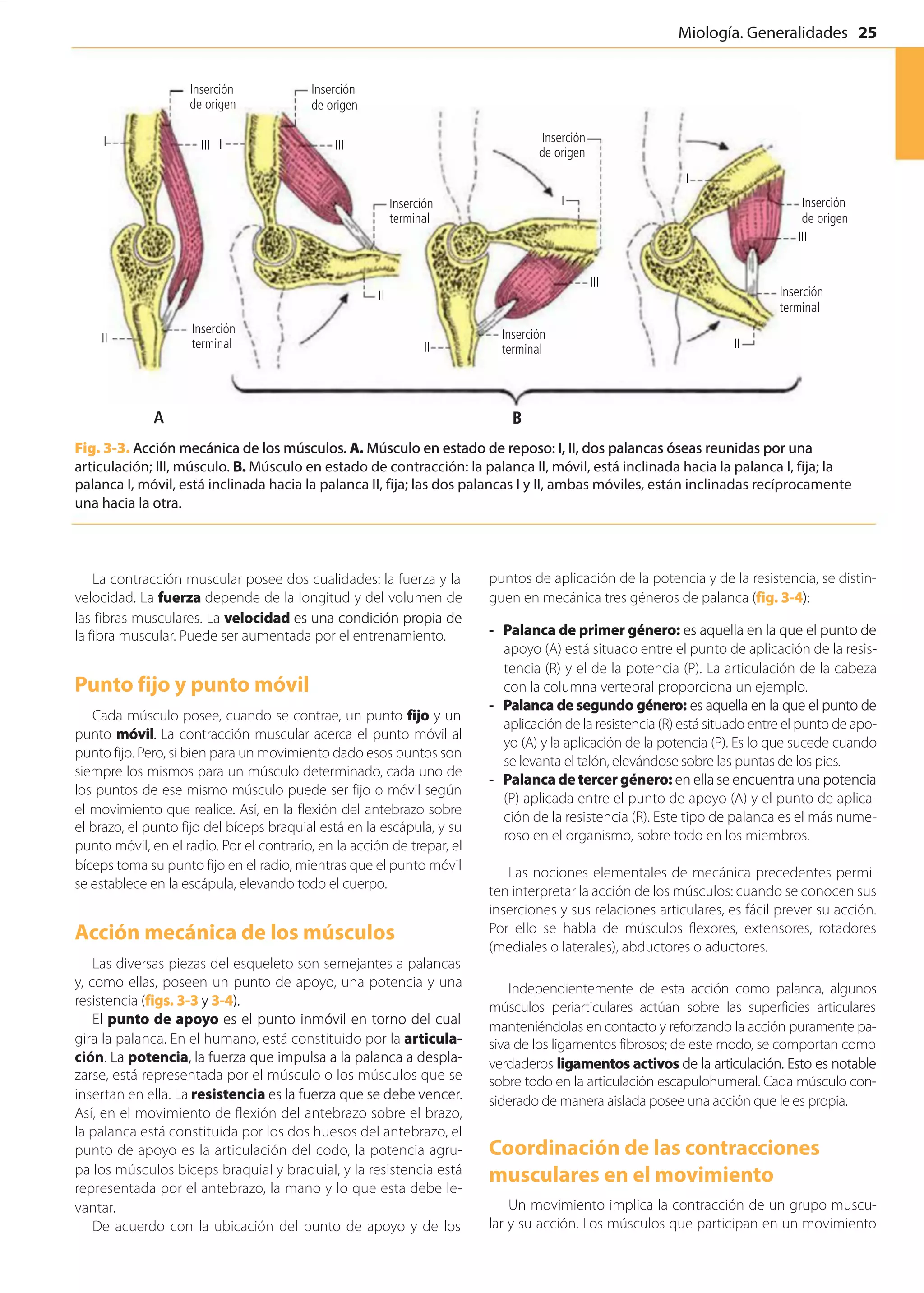 Latarjet - Ruiz Liard Anatomia Humana 5a Edicion T1 (1).pdf