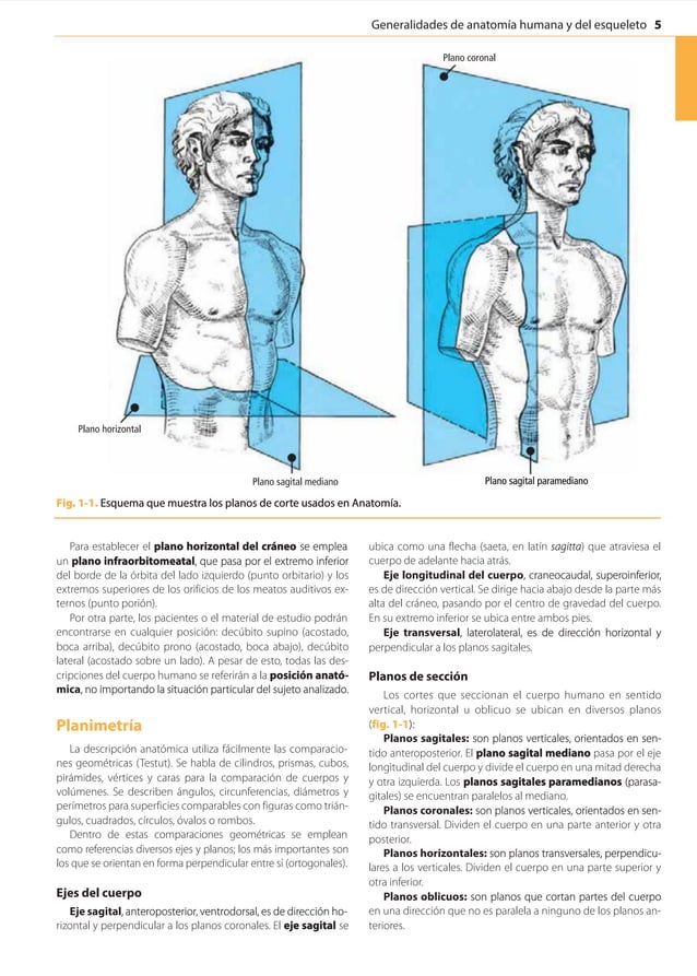 Latarjet - Ruiz Liard Anatomia Humana 5a Edicion T1 (1).pdf