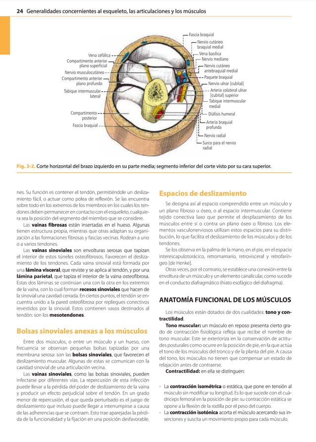 Latarjet - Ruiz Liard Anatomia Humana 5a Edicion T1 (1).pdf