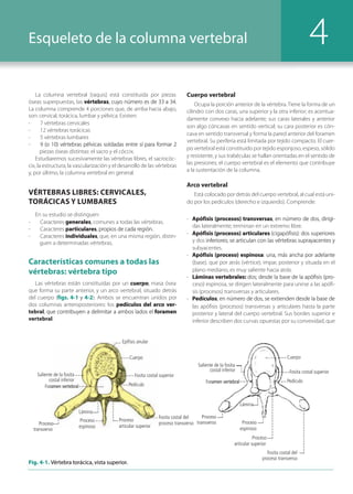 Latarjet - Ruiz Liard Anatomia Humana 5a Edicion T1 (1).pdf