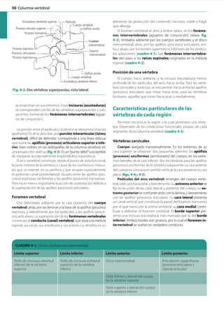 Latarjet - Ruiz Liard Anatomia Humana 5a Edicion T1 (1).pdf