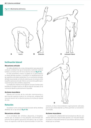 Latarjet - Ruiz Liard Anatomia Humana 5a Edicion T1 (1).pdf