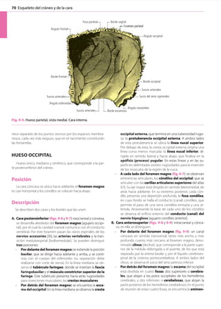 Latarjet - Ruiz Liard Anatomia Humana 5a Edicion T1 (1).pdf
