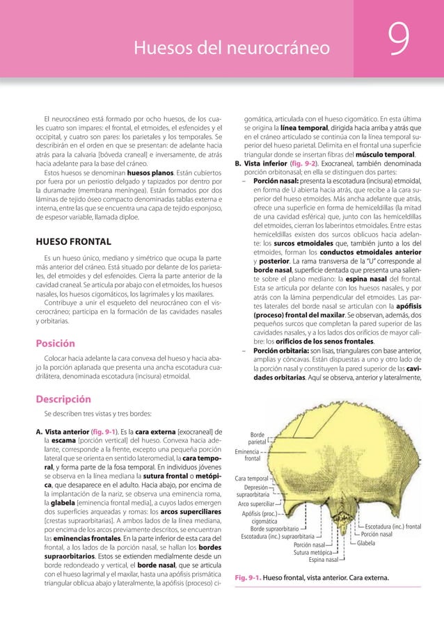 Latarjet Anatomía Humana 2 Tomos 5 Ed. 2019 (Incluye Ebook) Libros y ...