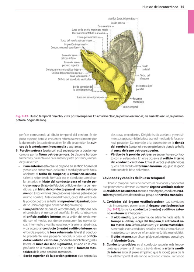 Latarjet Anatomía Humana 2 Tomos 5 Ed. 2019 (Incluye Ebook) Libros y ...