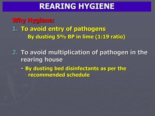Late age rearing presentation related to sericulture.ppt | Indoor ...