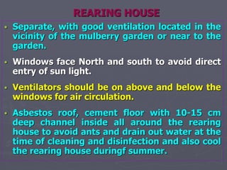 Late age rearing presentation related to sericulture.ppt | Indoor ...