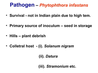 Late blight of potato | PPT