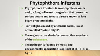 Late blight of potato.pptx