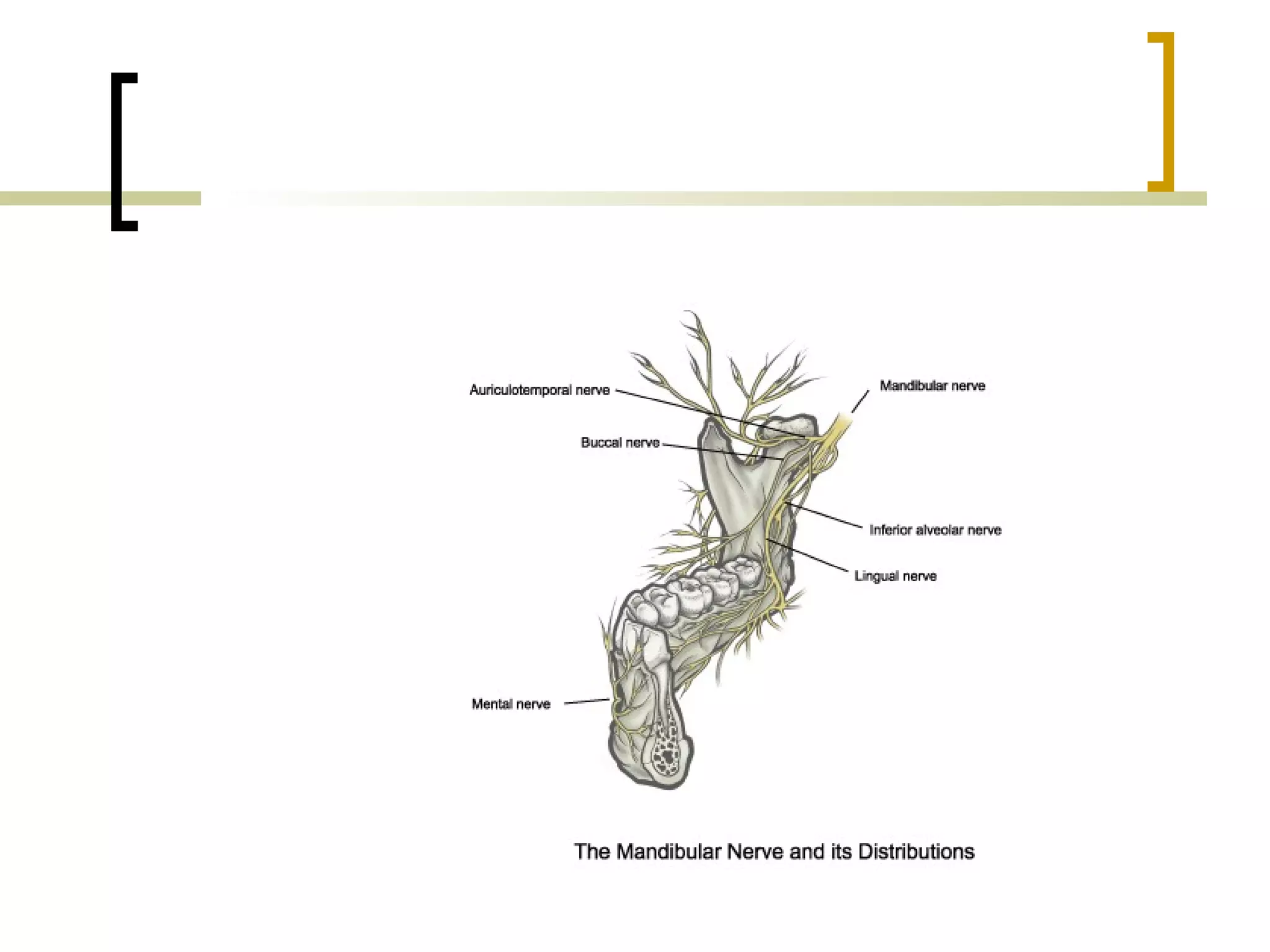 Local Anesthesia Injection Technique | PPT