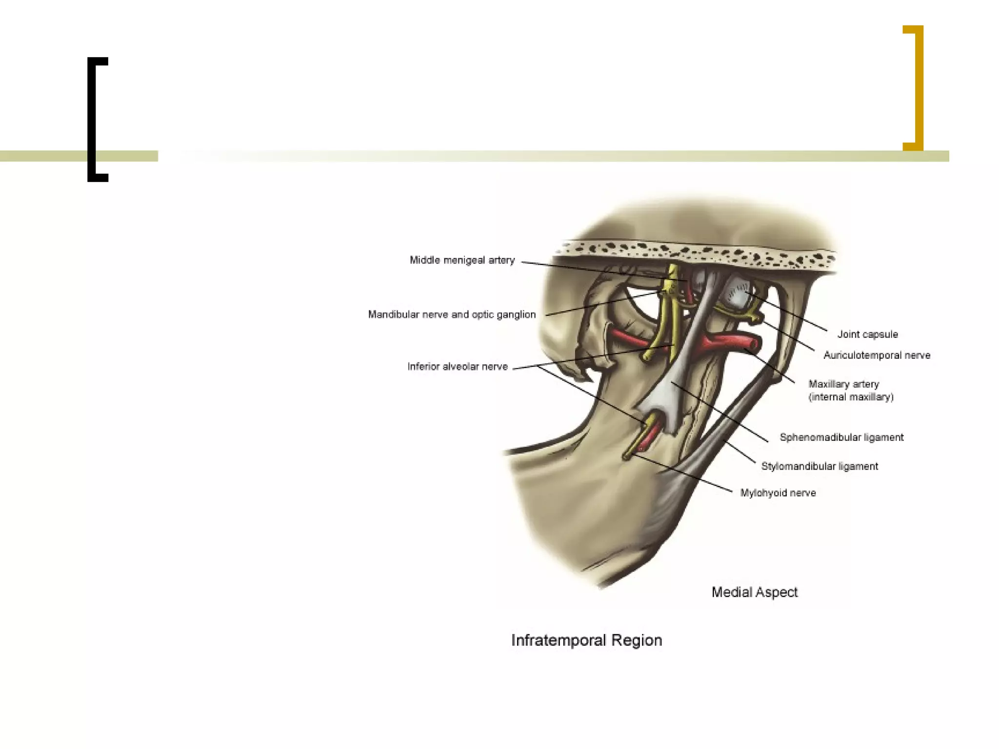 Local Anesthesia Injection Technique | PPT
