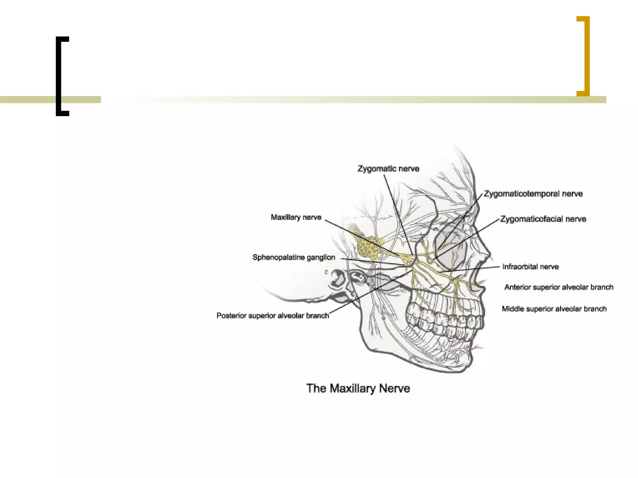 Local Anesthesia Injection Technique | PPT