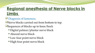 Local anesthesia Techniques in Surgery pptx | PPTX | Brain and Nervous ...