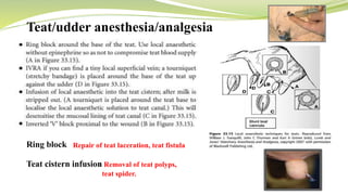 Local anesthesia Techniques in Surgery pptx | PPTX | Brain and Nervous ...