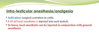 Local anesthesia Techniques in Surgery pptx | PPTX