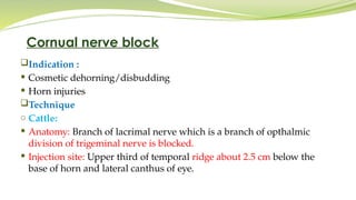 Local anesthesia Techniques in Surgery pptx | PPTX | Brain and Nervous ...