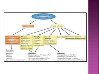 Late effects of Radiotherapy on Normal Tissues | PPTX