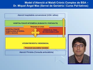 L'atenció domiciliària al malalt crònic complex | PDF