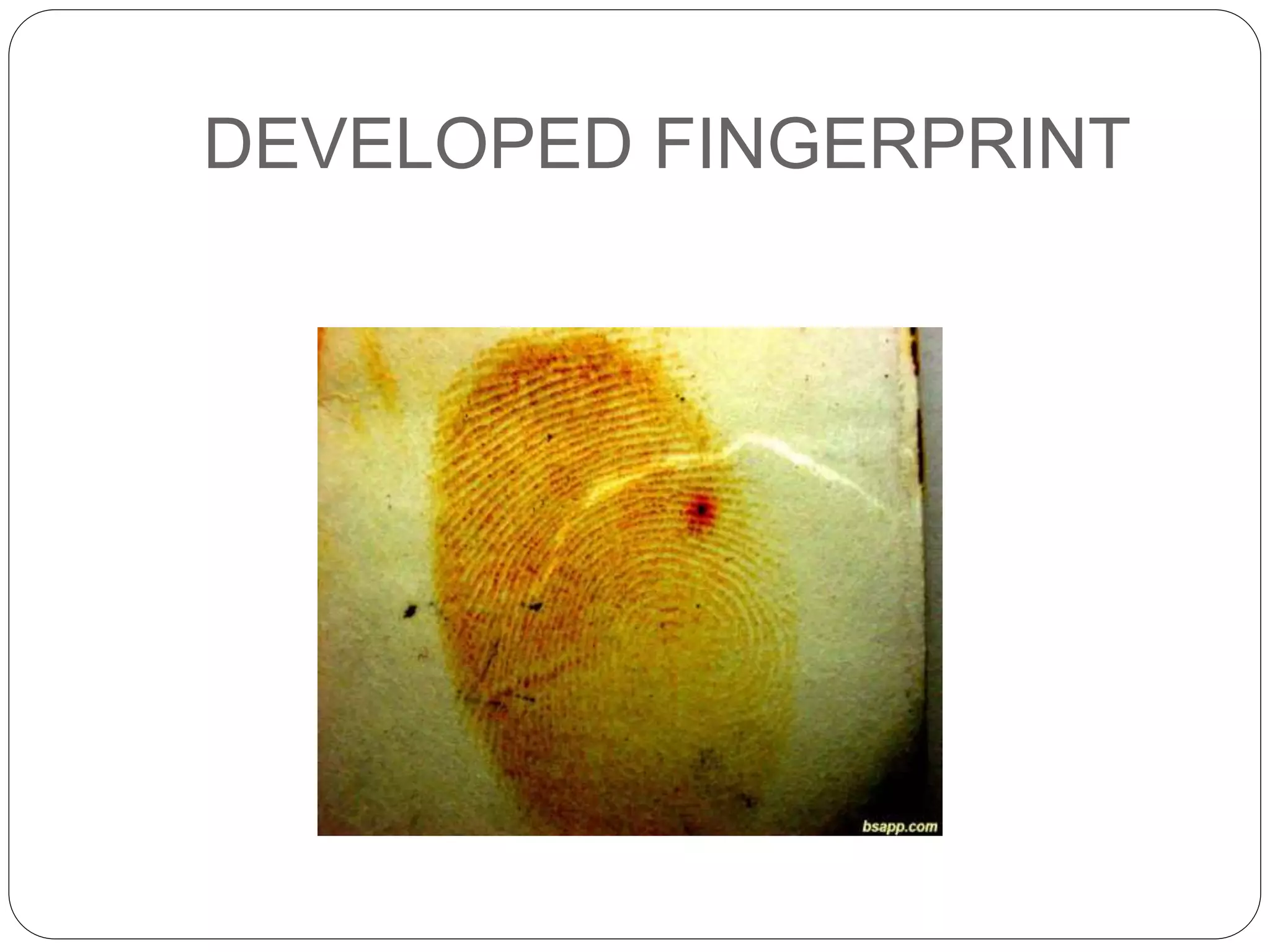 Latent fingerprint development | PPT