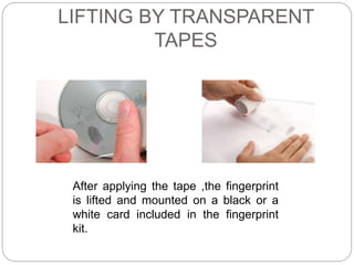 Latent fingerprint development | PPT