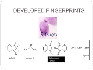 Latent fingerprint development | PPT