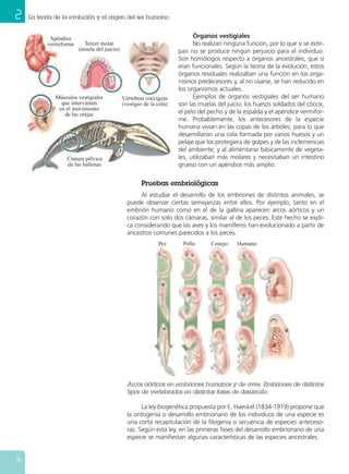 La teoría de la evolución y origen del ser humano[4691421] | PDF