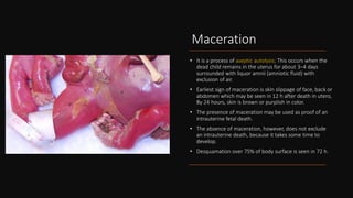 Late post mortem changes | PPTX