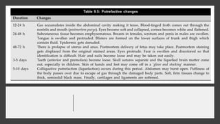 Late post mortem changes | PPTX