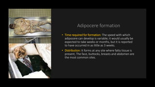 Late post mortem changes | PPTX