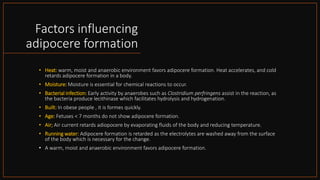 Late post mortem changes | PPTX