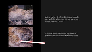 Late post mortem changes | PPTX