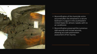 Late post mortem changes | PPTX