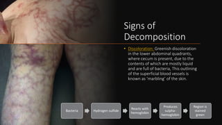 Late post mortem changes | PPTX