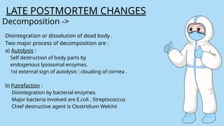 Late post-mortem changes.pptx by Kartikey Anand | PPT