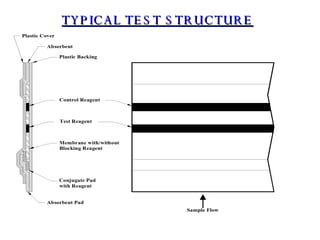 Lateral Flow Assay | PPT