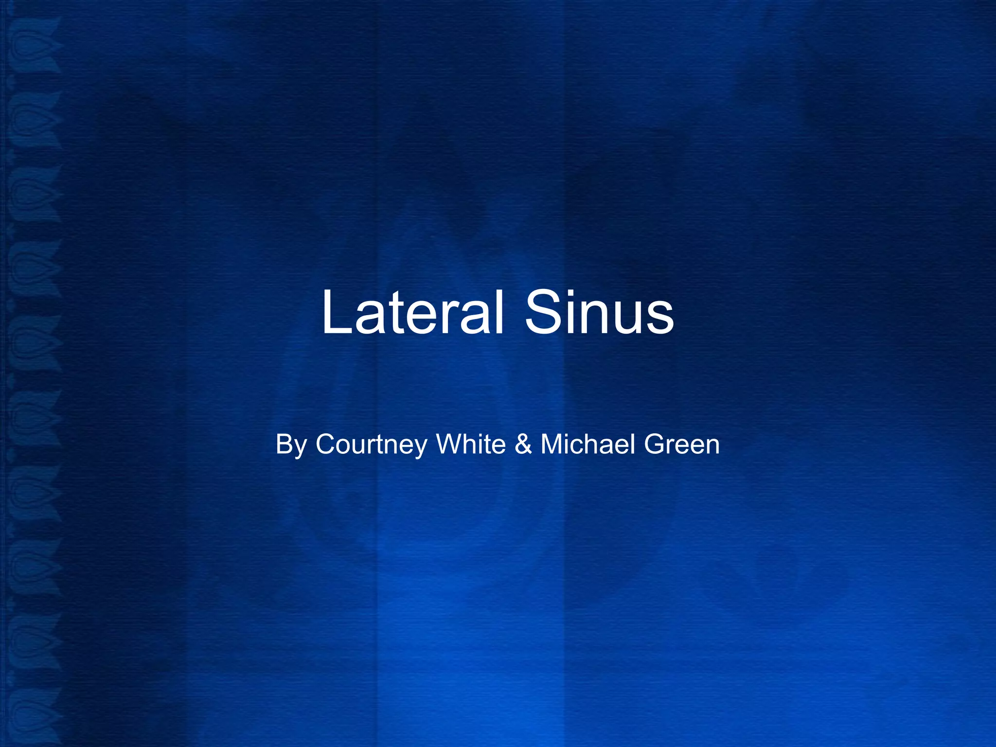 Lateral Sinus | PPT