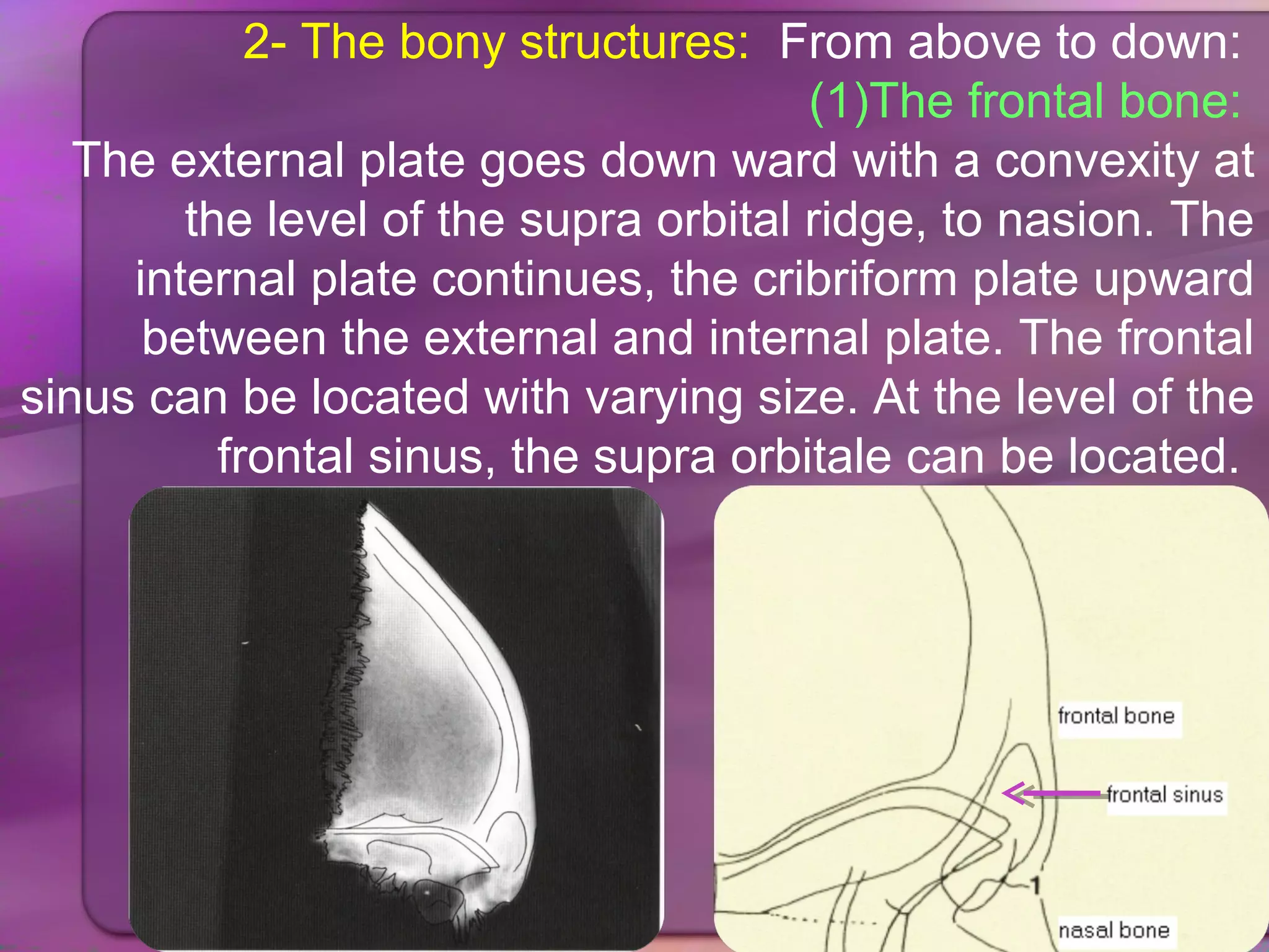 lateral cephalometric analysis in orthodontic | PPT