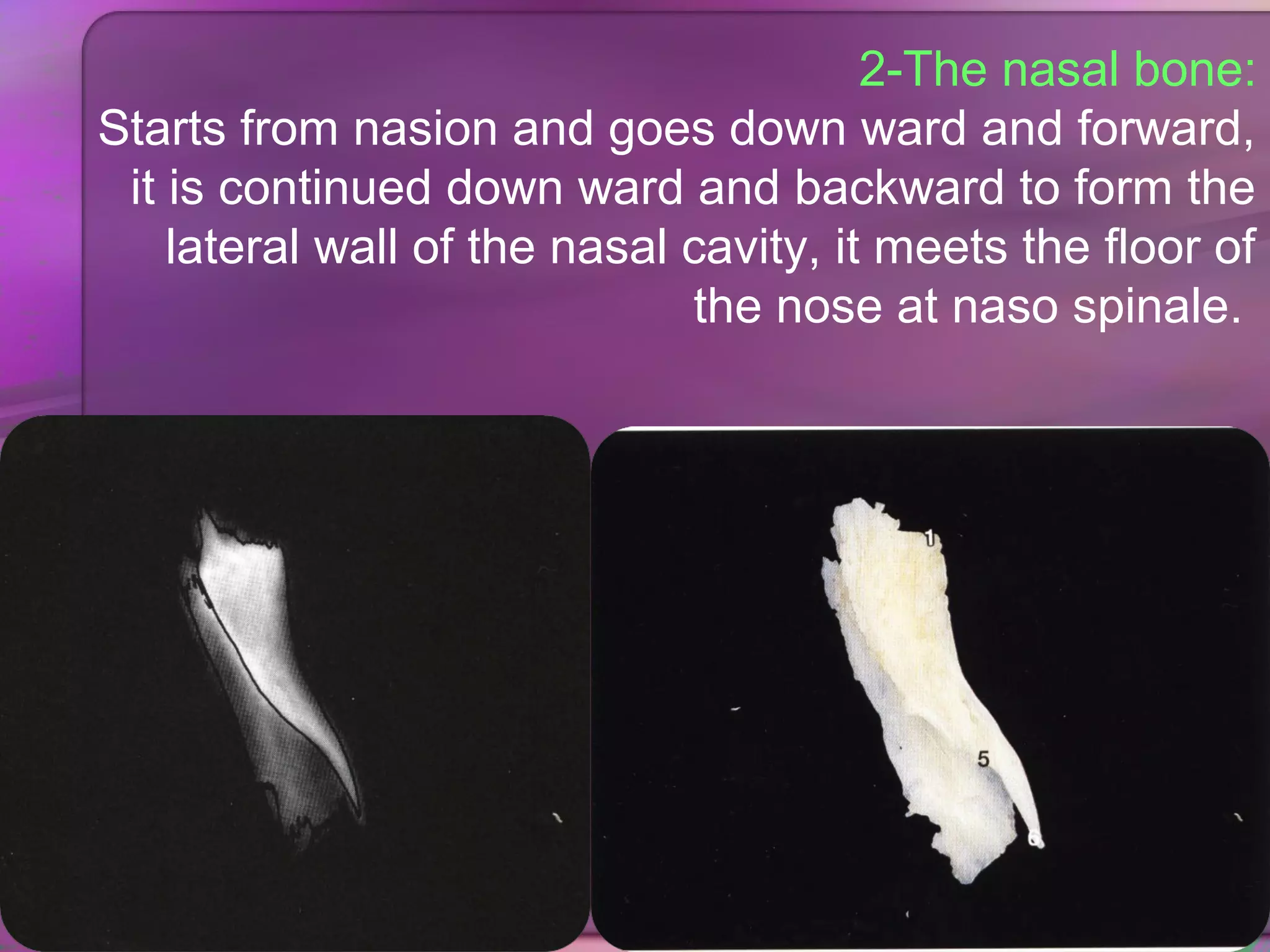 lateral cephalometric analysis in orthodontic | PPT