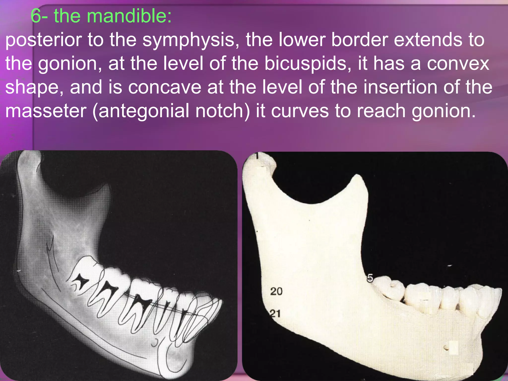 lateral cephalometric analysis in orthodontic | PPT