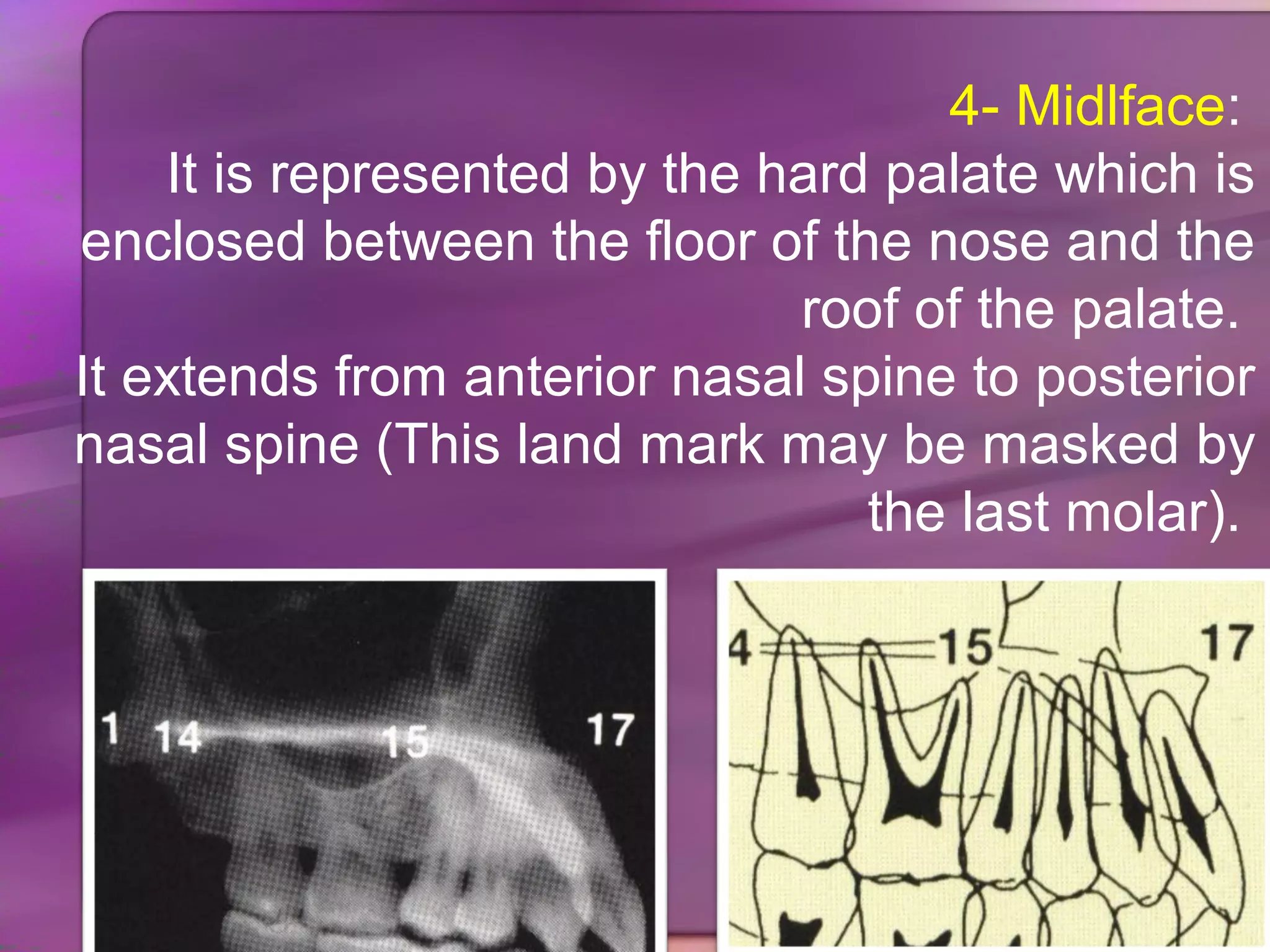 lateral cephalometric analysis in orthodontic | PPT