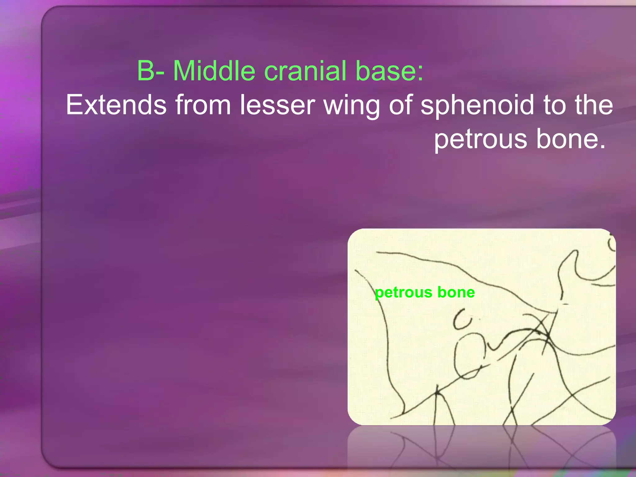lateral cephalometric analysis in orthodontic | PPT