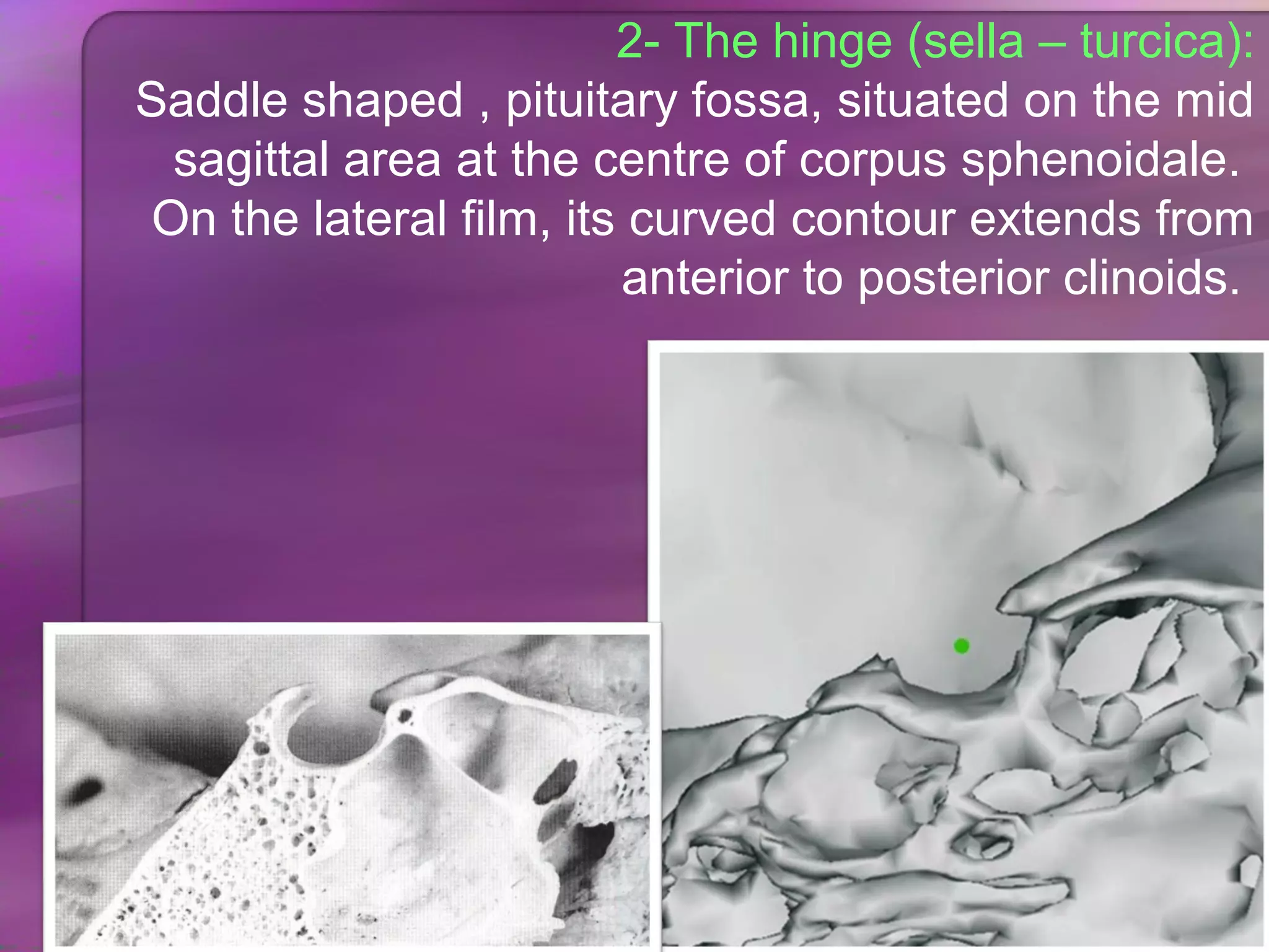 lateral cephalometric analysis in orthodontic | PPT