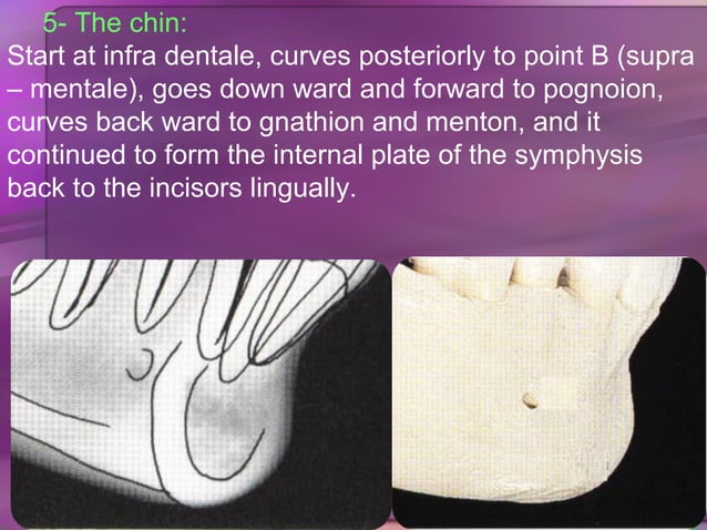 lateral cephalometric analysis in orthodontic | PPT