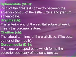 Planum Sphenoidale Lateral Ceph