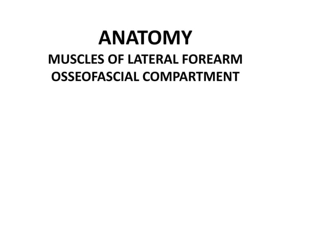 Lateral forearm | PPTX