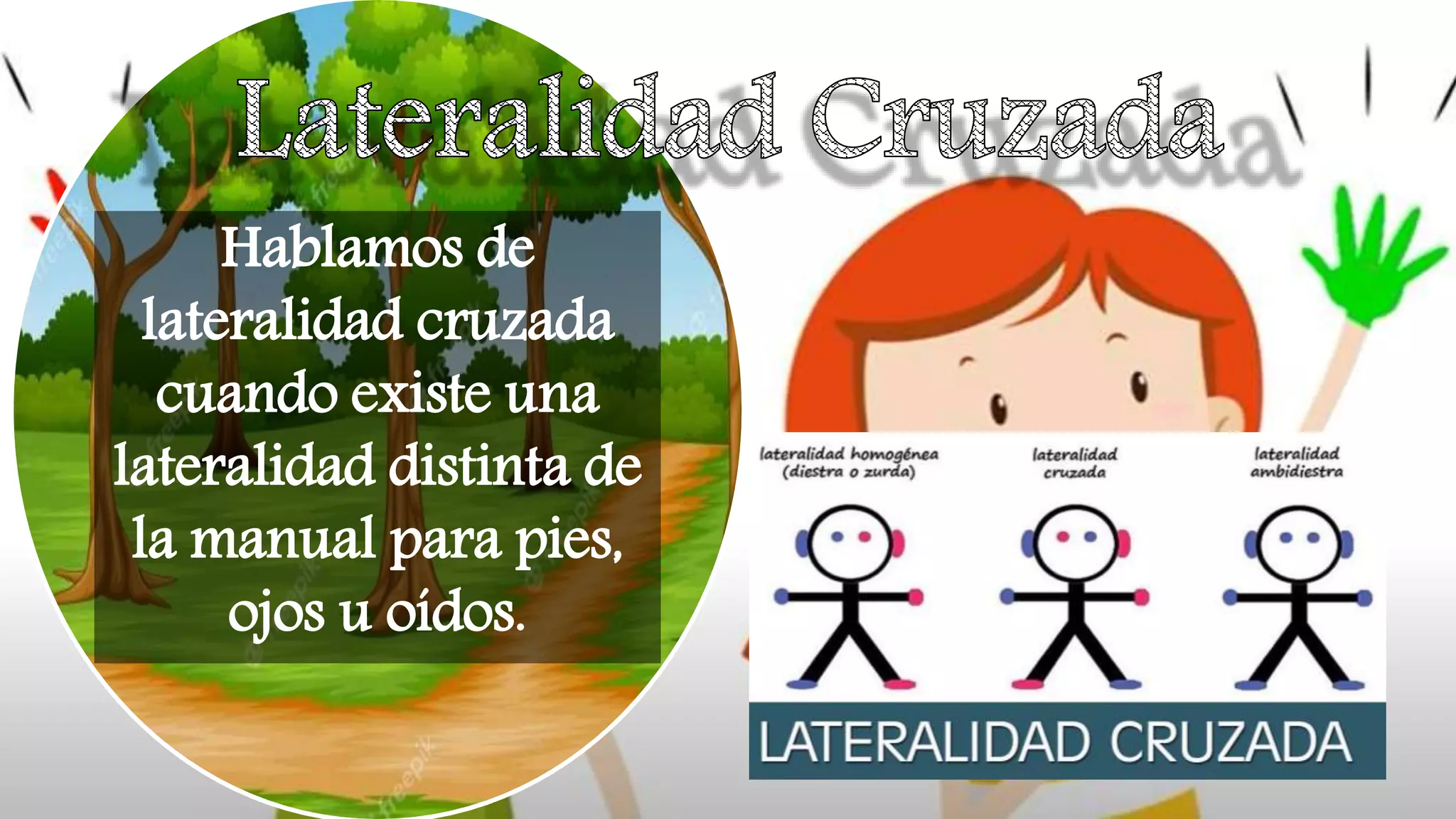 Lateralidad cruza | PPT