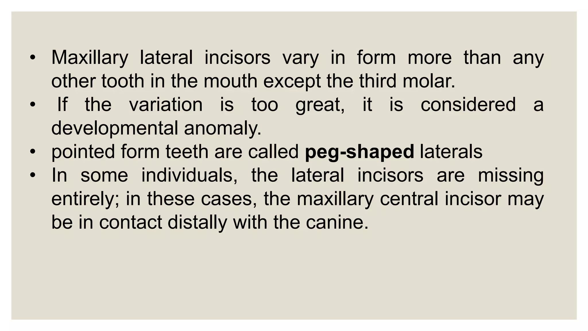 Lateral Incisor | PPTX