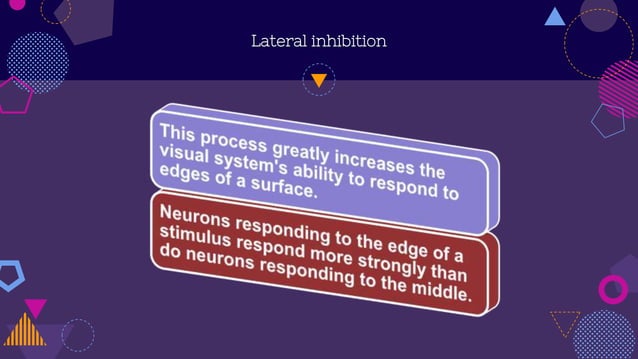 Lateral inhibition | PPSX