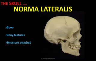 Norma Lateralis | PPTX